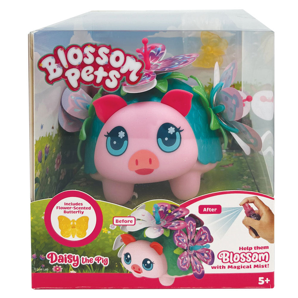 Daisy the Pig – Luki Lab